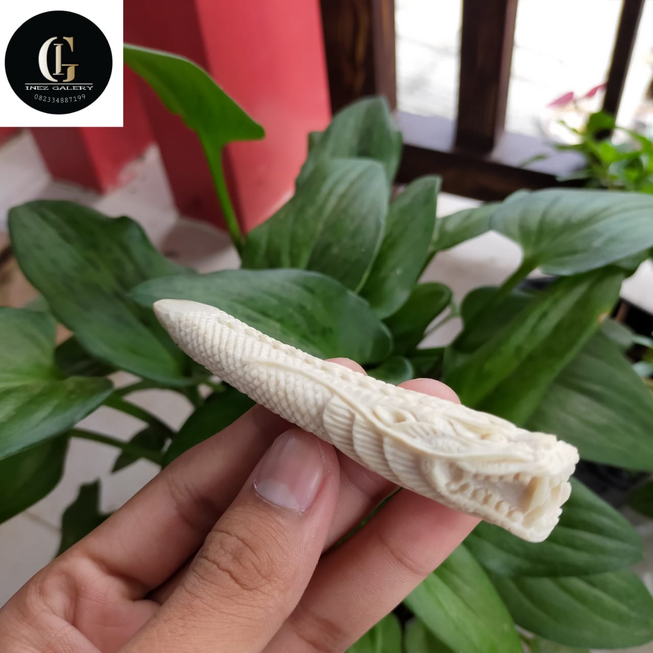 Pipa rokok once iga duyung ukir naga IN 121 | Lazada Indonesia