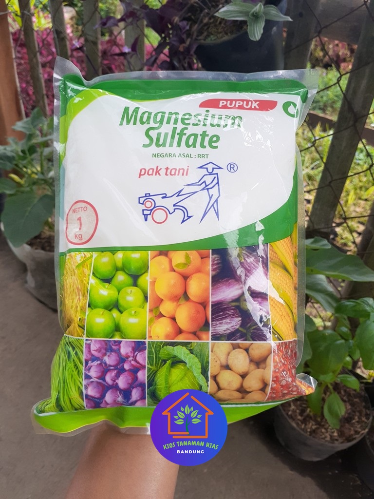 COD 1 Kg Magnesium sulfate pak tani sulfat asli Garam inggris Pupuk utk ...