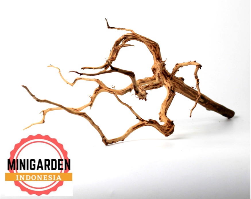 AKAR RASAMALA LARGE kayu rasamala aquascape hiasan aquarium PREMIUM ...