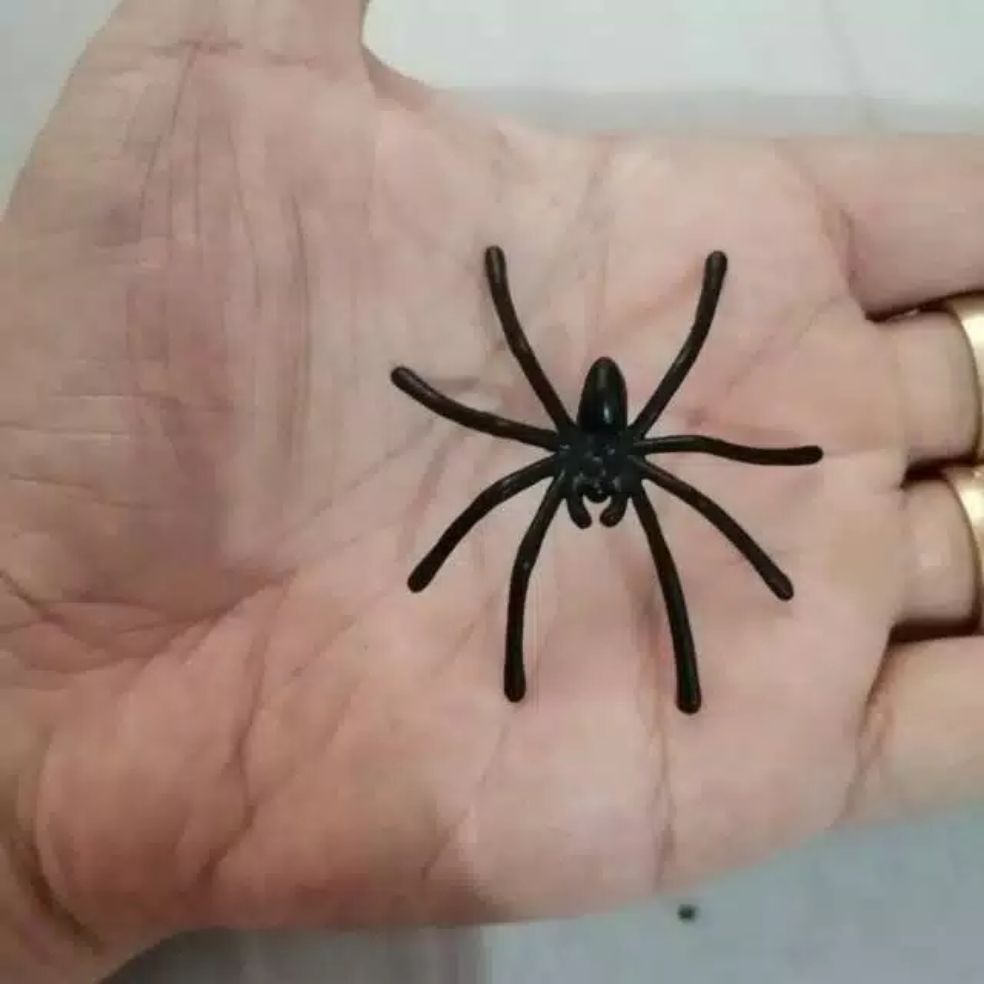 mainan laba laba isi 20pcs | Lazada Indonesia