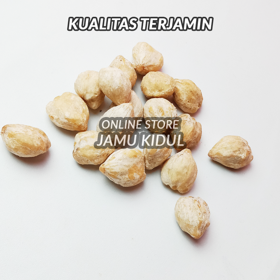 Biji Kemiri 50gr Super Grade A Bersih dan Besar | Lazada Indonesia