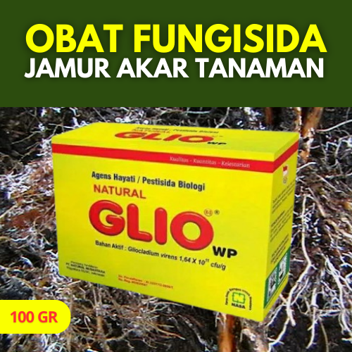 Fungisida Obat Jamur Tanaman / Obat Jamur Fungisida Pohon Durian Cabe ...