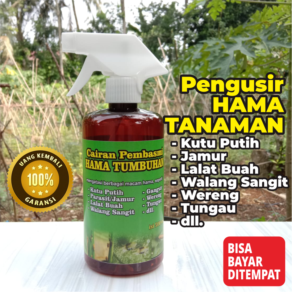 OBAT HAMA TUMBUHAN 500ml | Plant | Hama Daun | Kutu Putih | Lalat ...