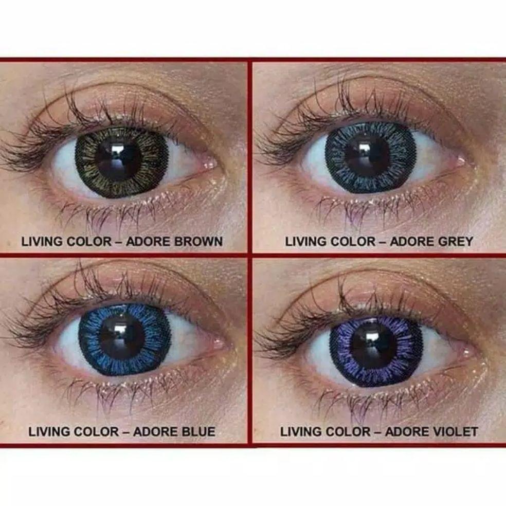 Softlens Living Color Adore / Soflens Adore / Softlen Adore | Lazada ...