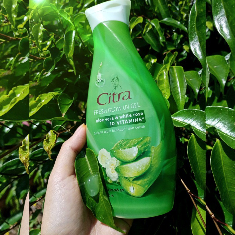 Citra Fresh Glow UV Gel Aloe Vera & White Rose Hand and Body Gel ...