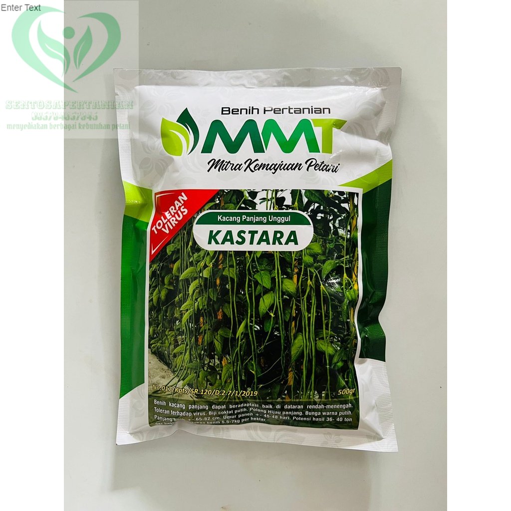 Benih Kacang Panjang KASTARA isi 500gr dr MMT M | Lazada Indonesia