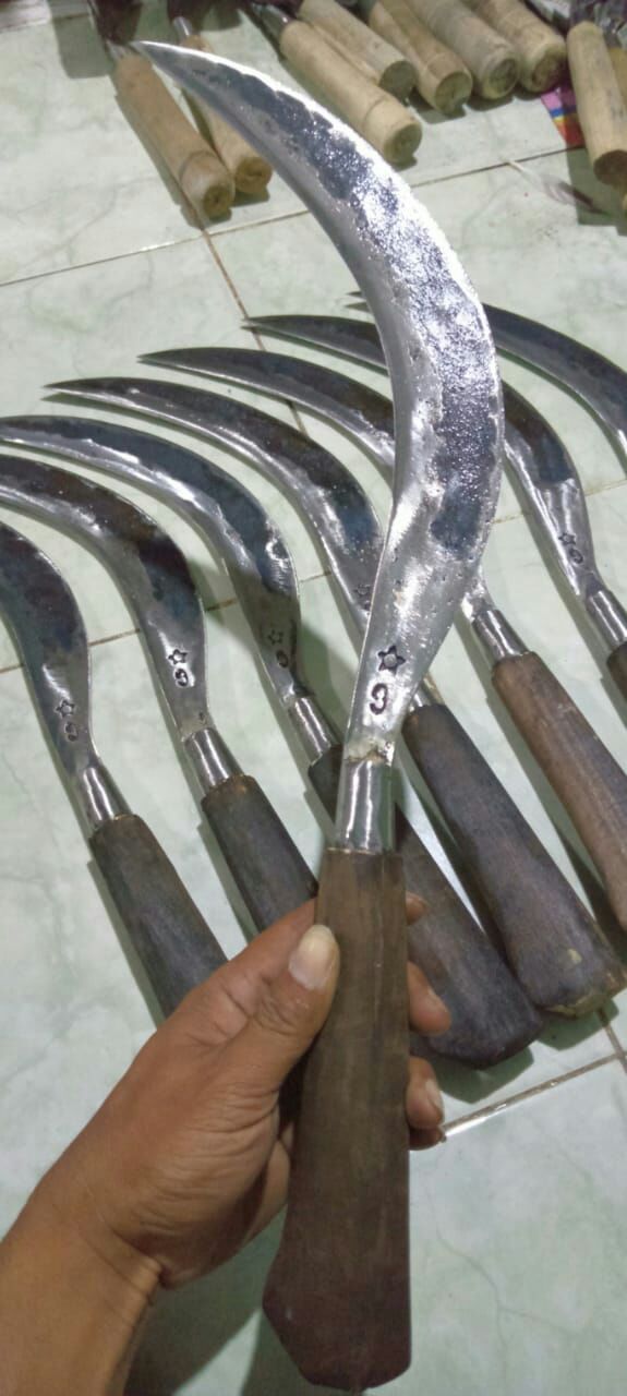 ARIT SUPER UKURAN 40 CM / ARIT PENEBAS RANTING POHON / ARIT PERKEBUNAN ...