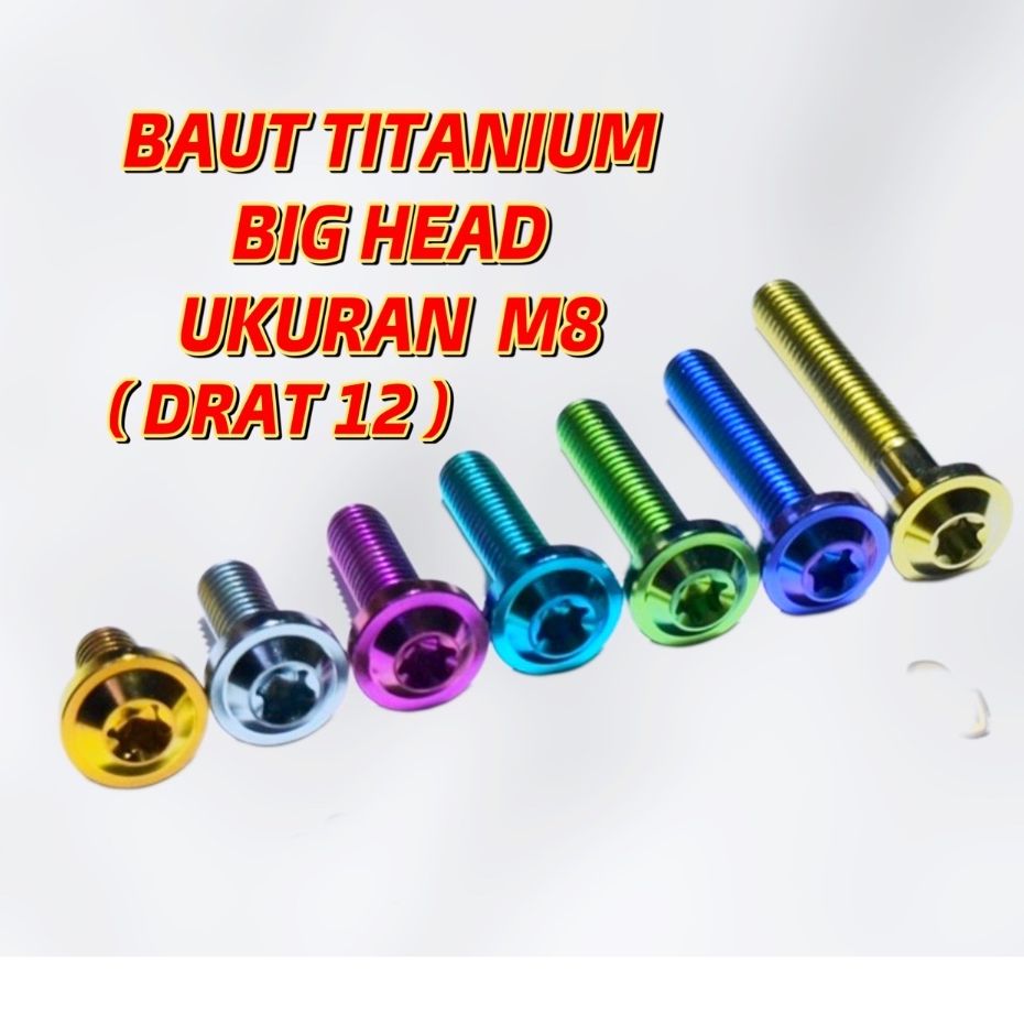 Baut Titanium GR5 drat ukuran 12 atau M8 model Big Head original Titanium | Lazada Indonesia