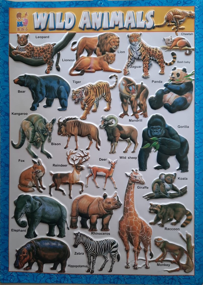 Poster Timbul Tempel Dinding Anak Belajar Binatang Wild Animals Hewan ...