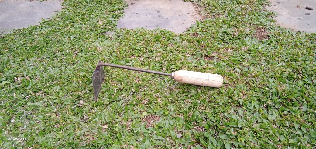 cankul mini model persegi/kored rumput kotak | Lazada Indonesia