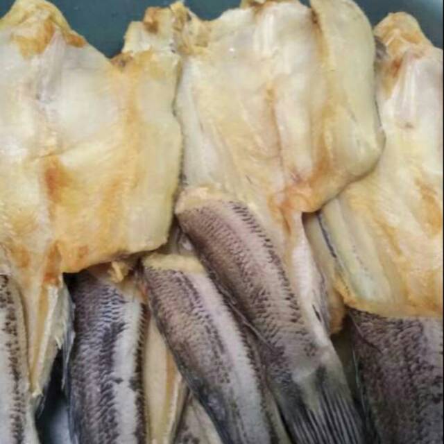 IKAN GABUS BESAR KERING 250 GRAM segar | Lazada Indonesia