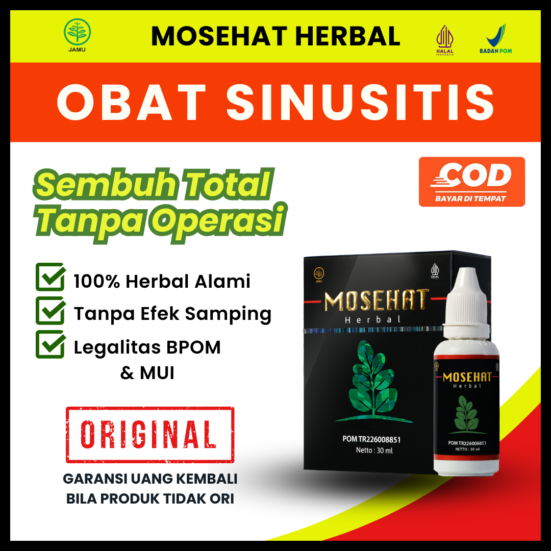 Mosehat Obat Sinusitis Herbal Yang Ampuh Untuk Mengatasi Hidung ...