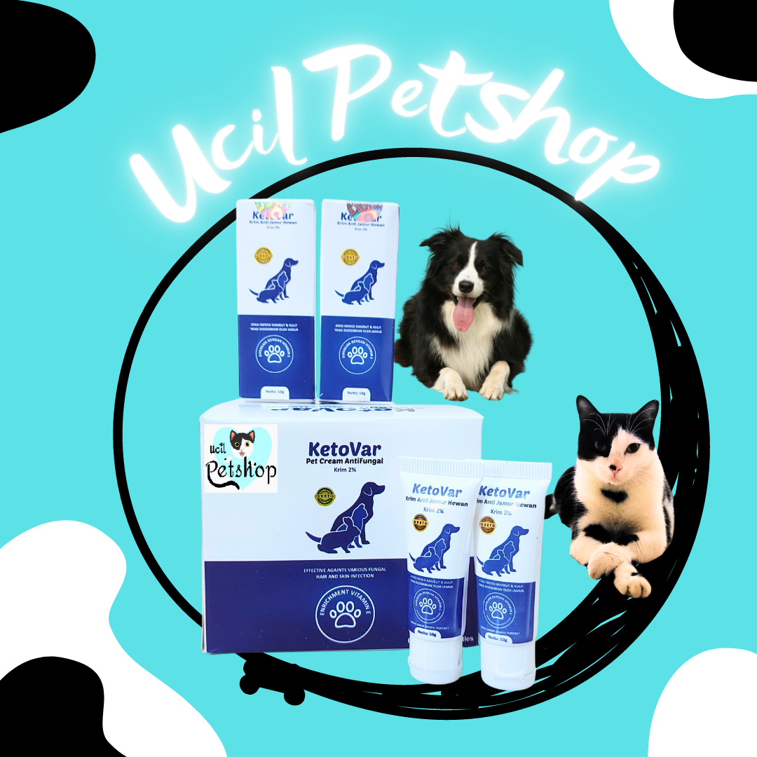 Ketovar 10gr Cream Basmi Jamur Ringworm Pada Kucing Anjing Kelinci ...