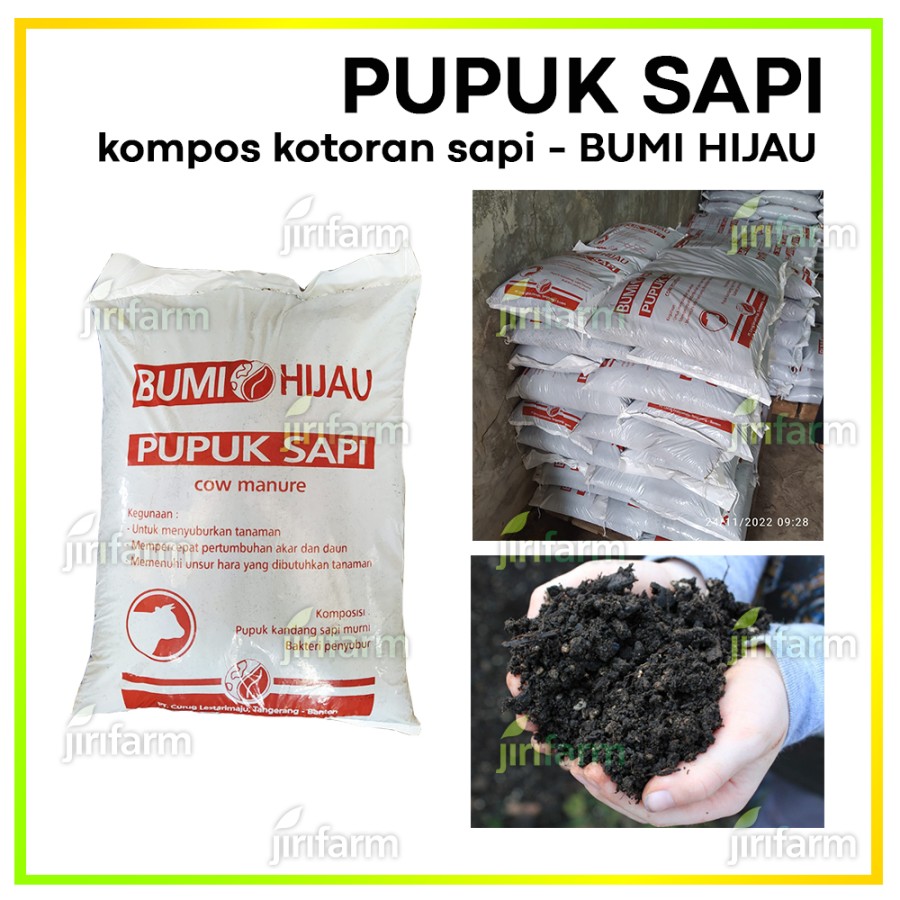 Pupuk Sapi Murni Bumi Hijau Kemasan 1 Sak Asli Tanpa Campuran | Lazada ...
