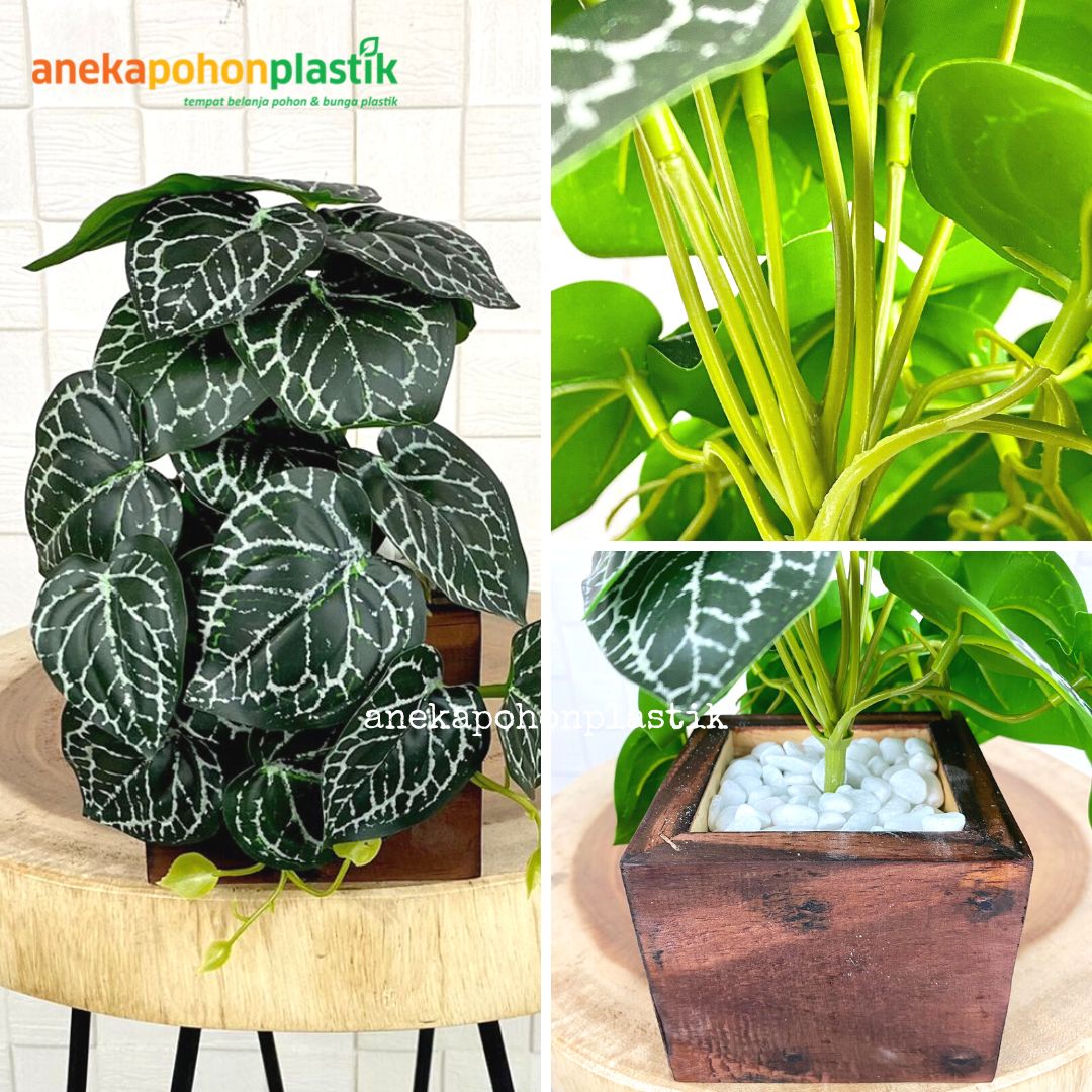 Pohon Rambat Juntai Mini Tanaman Hias Plastik Artificial Pot Motif Kayu ...