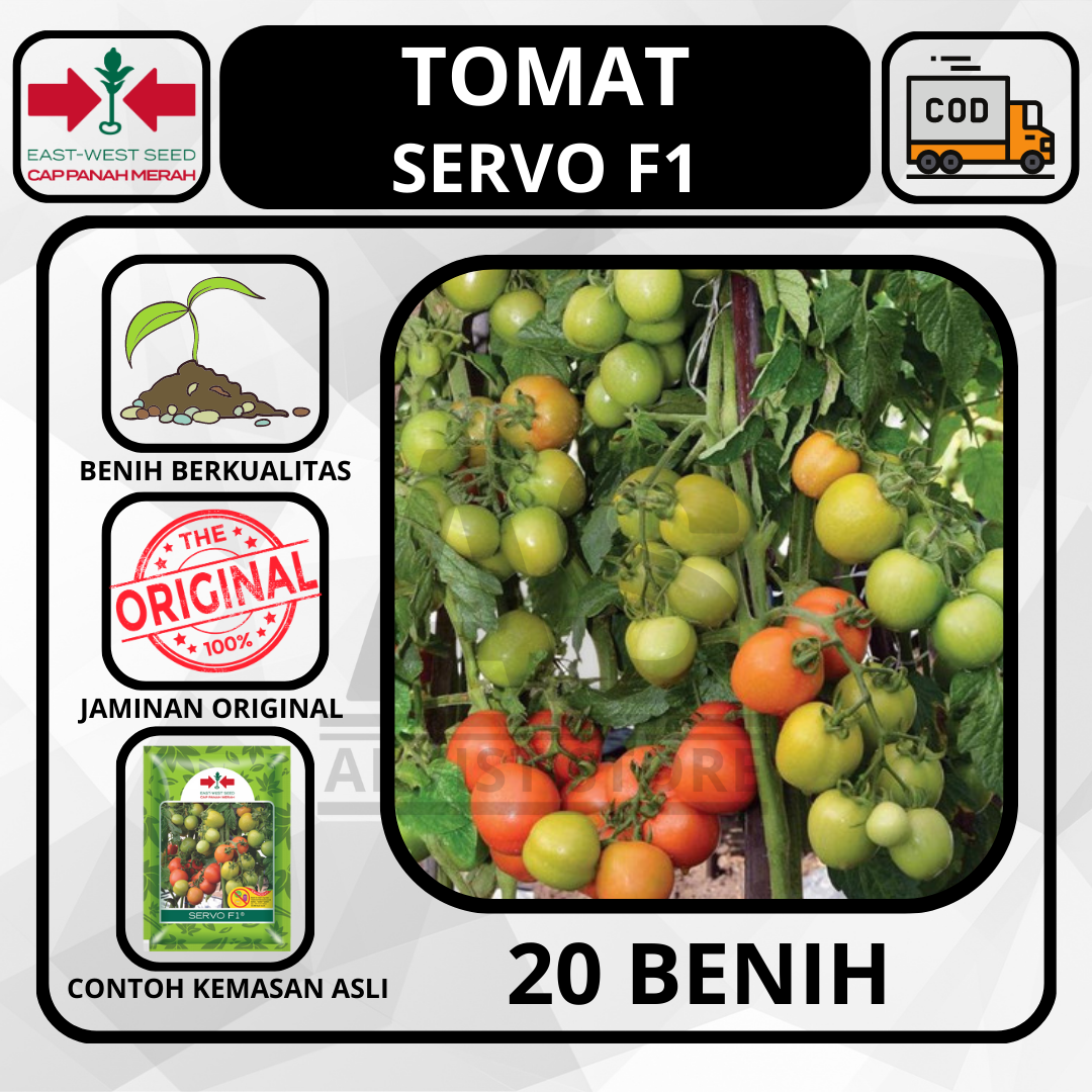 20 Butir - Benih TOMAT SERVO F1 Cap Panah Merah Bibit Sayuran Tanaman ...