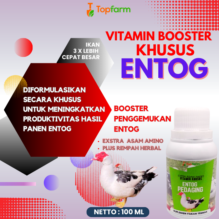 Vitamin Pemacu Makan Bebek Entog / Vitamin Buat Ternak Entok / Vitamin ...