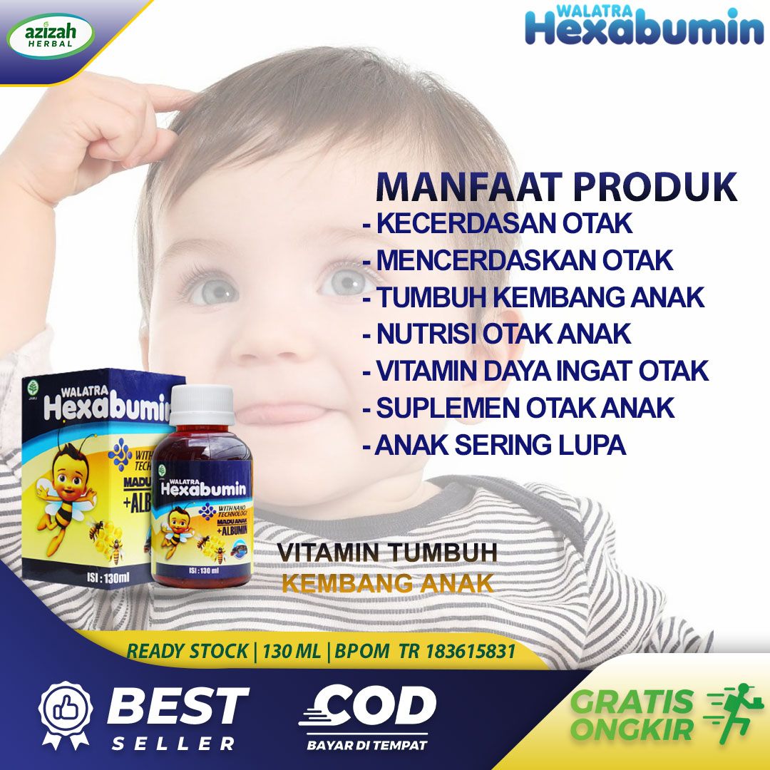 Walatra Hexabumin 100% Asli Untuk Kencerdasan Otak Anak Membantu Tumbuh ...