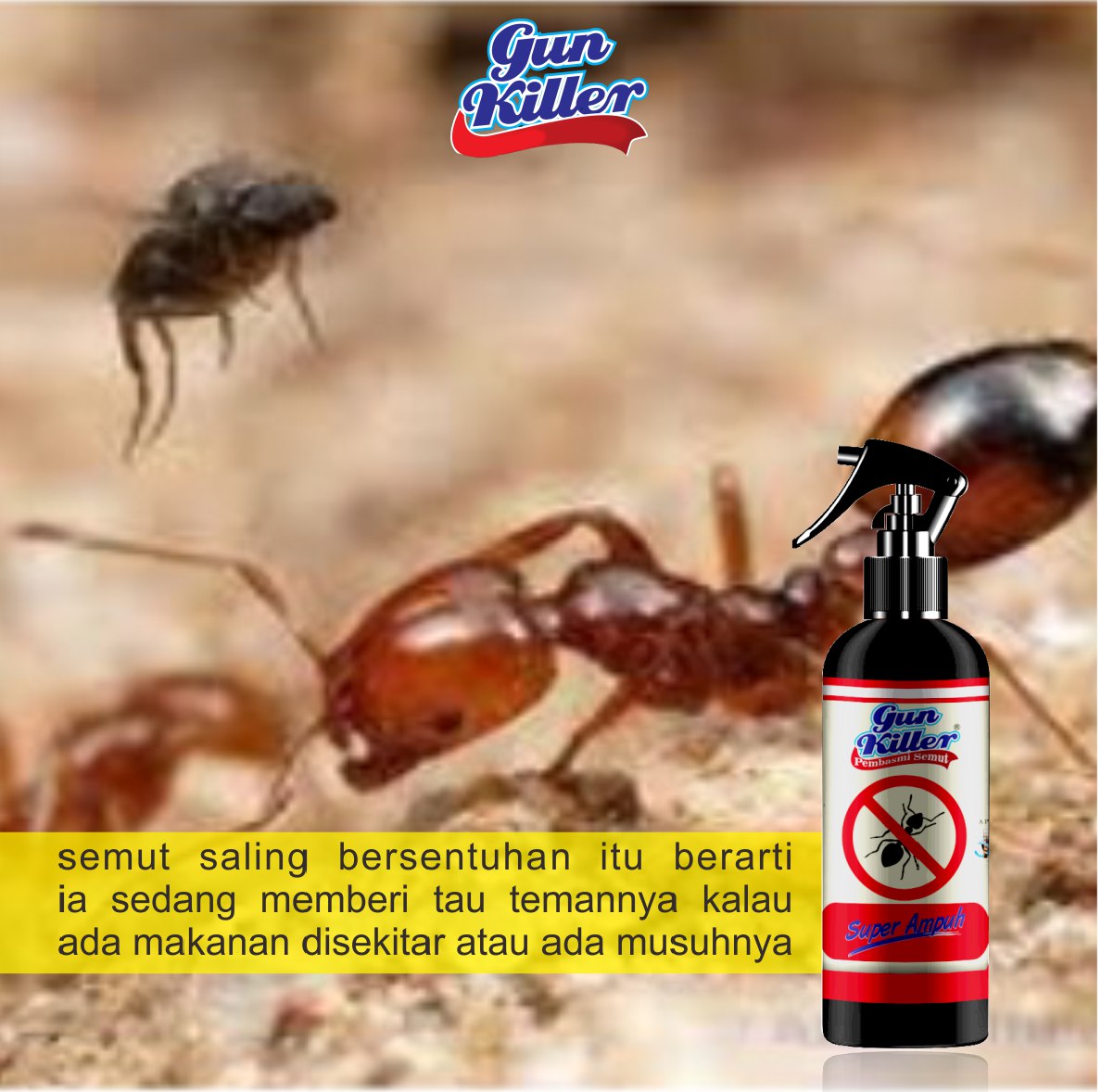 Obat Pembasmi Tomcat Racun Semut Tomcat / Semut Semai | Lazada Indonesia