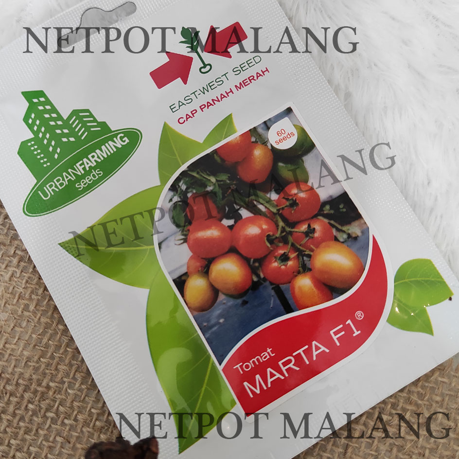 Benih Tomat Marta Cap Panah Merah Urban Farming Seed Original Starter ...