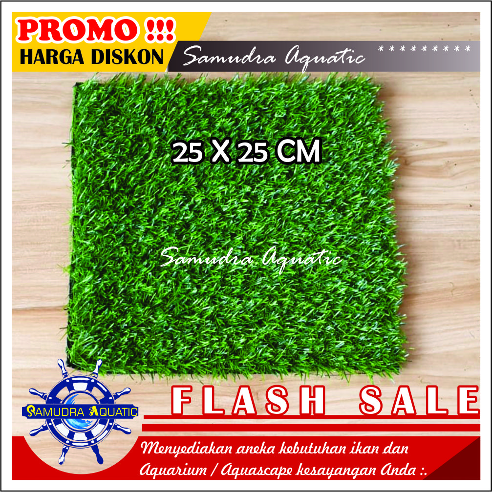 Rumput Aquarium Aquascape Sintesis (Cocok Untuk AQUARIUM KECIL), Rumput ...