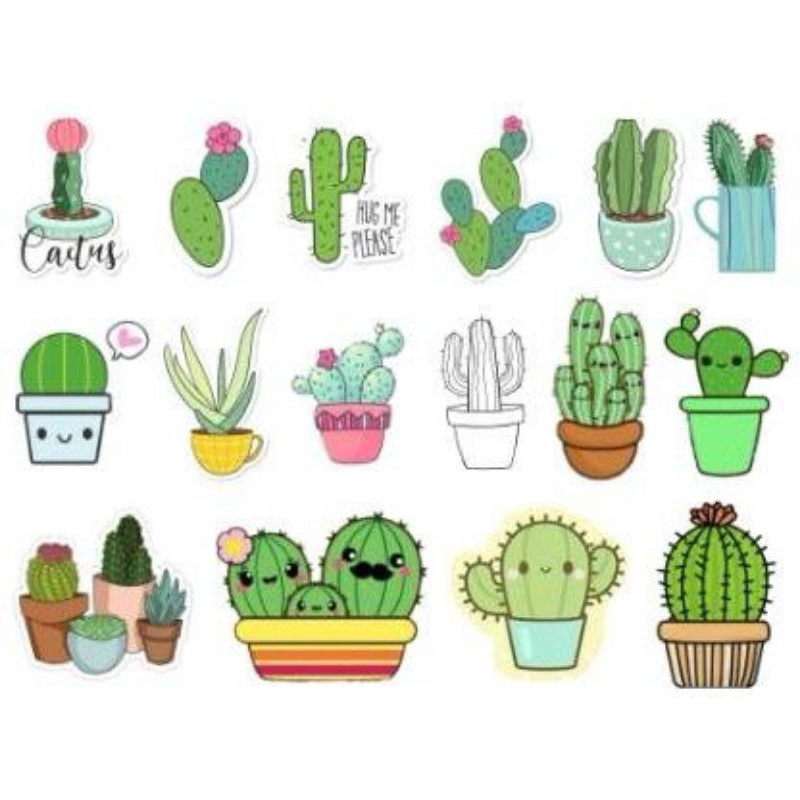 Sticker kaktus lucu | Lazada Indonesia