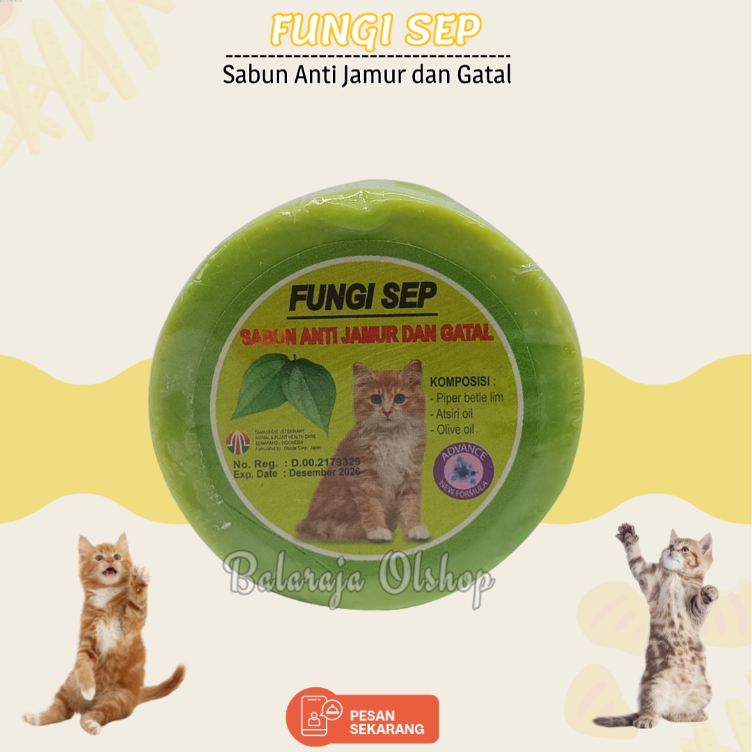 SABUN ANTI JAMUR KUCING FUNGISEP HERBAL SOAP ANTI GATAL SCABIES DEMODEX ...