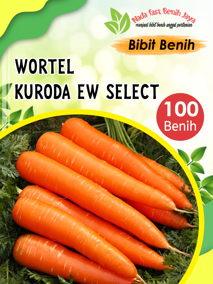 100 biji benih WORTEL UNGGULAN - bibit sayuran wortel kuroda unggulan ...