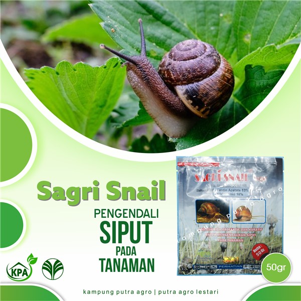 OBAT PEMBASMI HAMA SIPUT, KEONG, BEKICOT PADA TANAMAN - SAGRI SNAIL ...