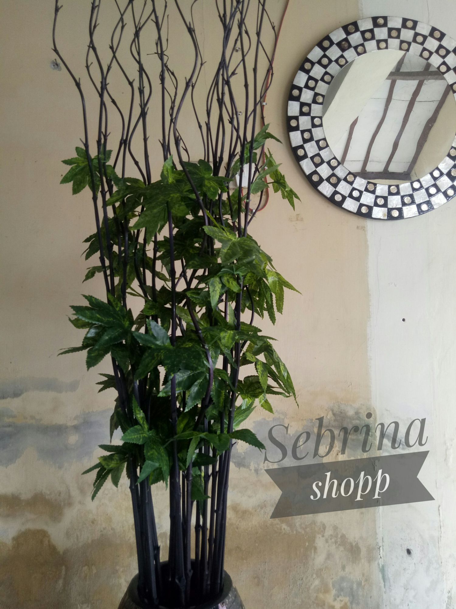 15 batang bambu ulir daun maple hijau | Lazada Indonesia