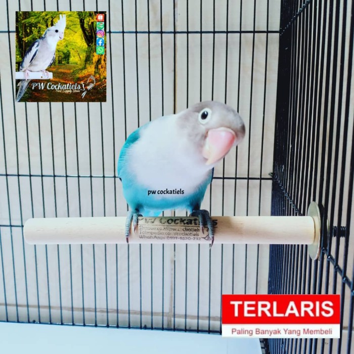TANGKRINGAN KAYU 15CM JEPIT MUR BAUT SANGKAR KANDANG BURUNG LOVEBIRD ...