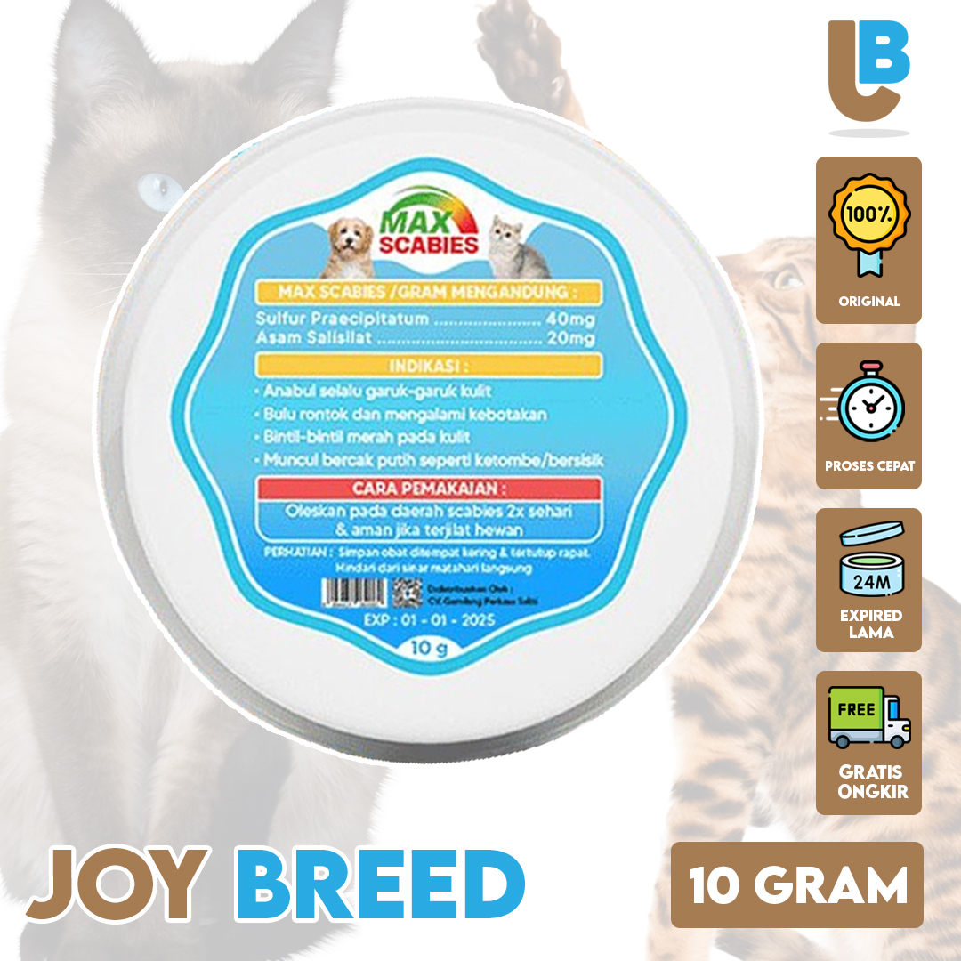 OBAT SCABIES KUCING MAX SCABIES SALEP ANTI SCABIES DAN INFEKSI KULIT ...