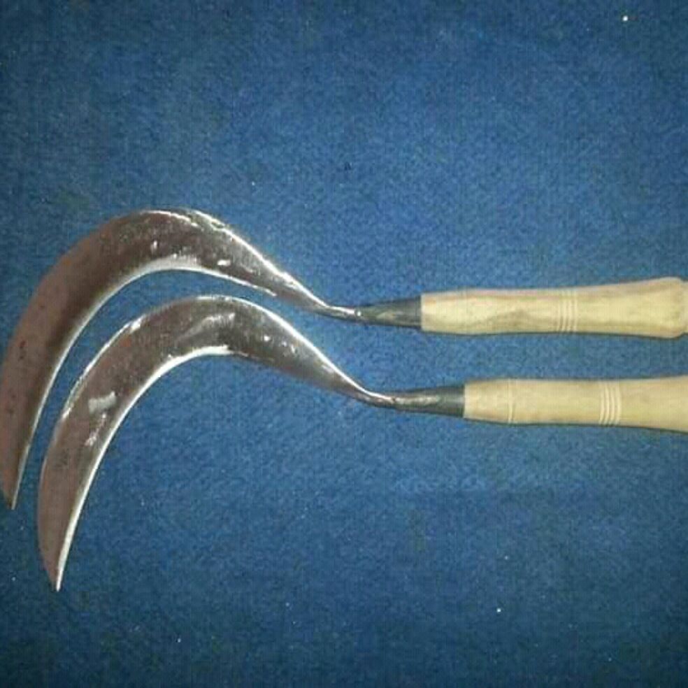 ARIT MADURA ( 27 CM ) / SABIT PEMOTONG RUMPUT HALAMAN RUMAH / PERKEBUNAN / ALAT PERKEBUNAN ...