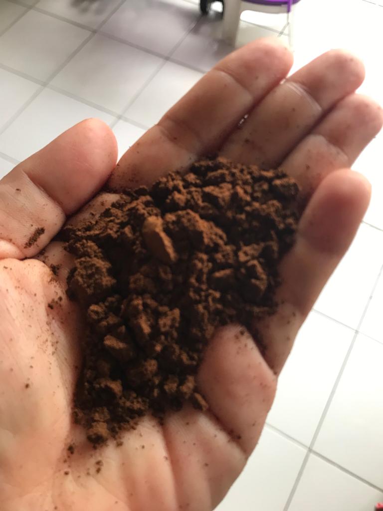 PAKET KOPI KLANGENAN KHAS LAMPUNG 250GR RASA COKLAT ORIGINAL PAS MANTAB ...