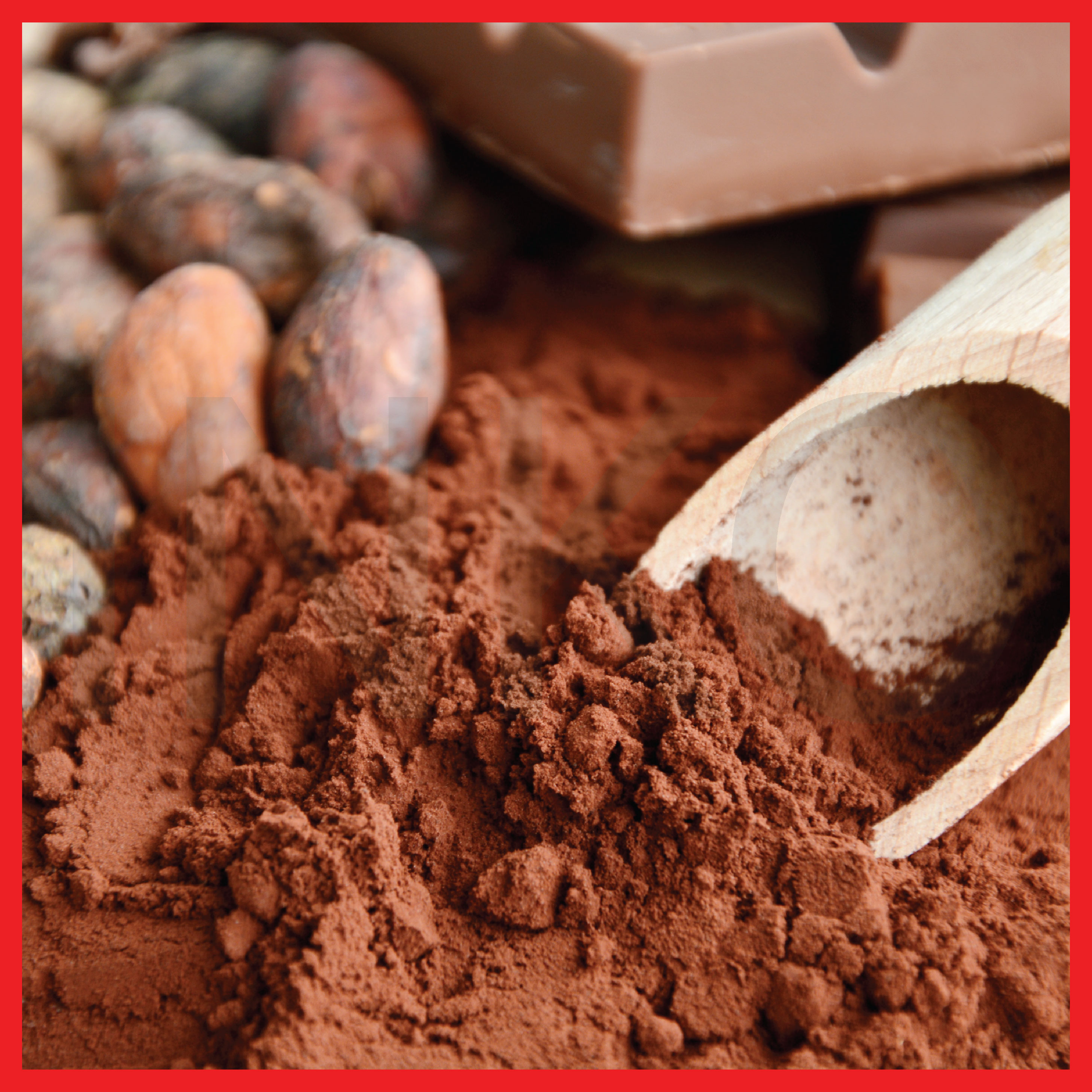 COKLAT BUBUK WINDMOLEN COCOA POWDER 25KG | Lazada Indonesia