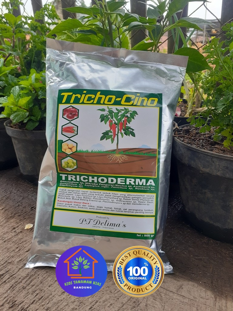 COD Tricho Cino Pupuk Tanaman Obat Anti Layu Fusarium Trichoderma ...