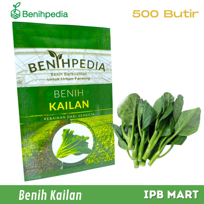 Benih Kailan / Kai-lan / Kaelan / Chinese Kale == Bibit Tanaman ...
