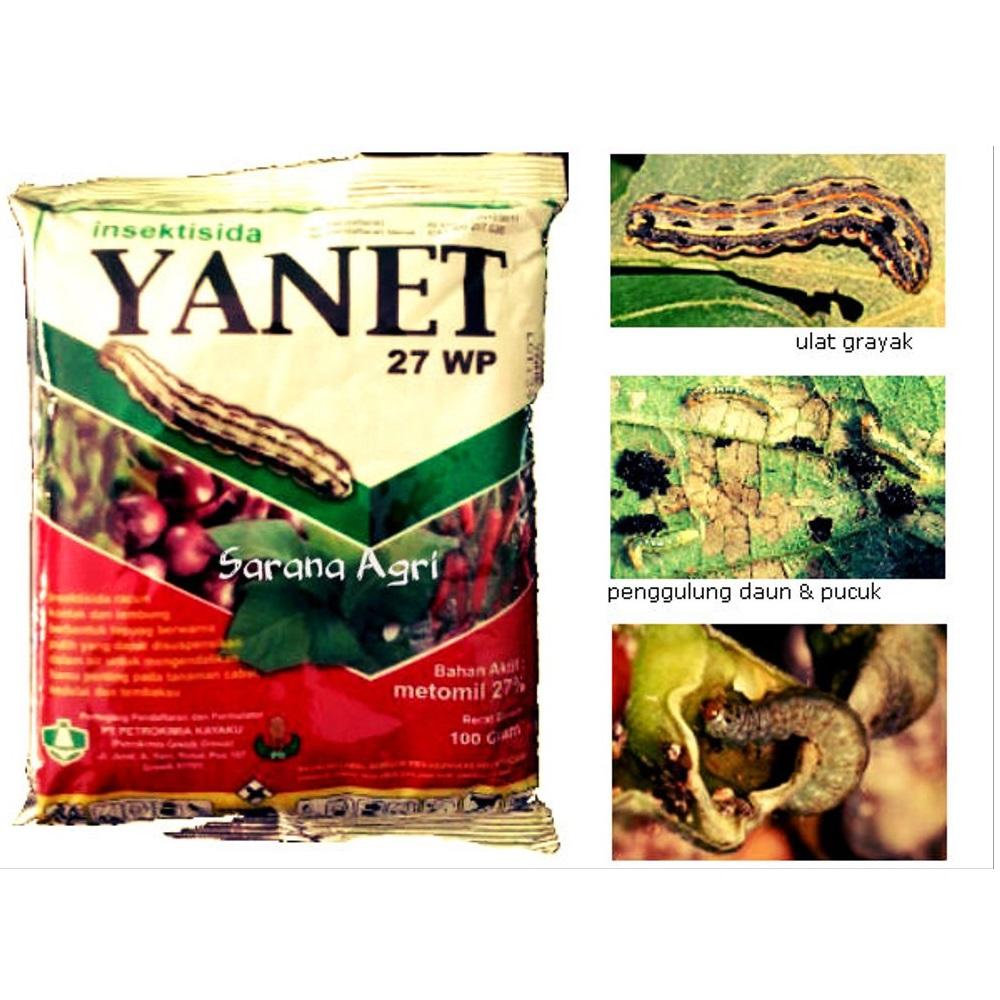Yanet 27WP 15 Gram Obat Hama Kutu Kebul Kutu Daun dan Ulat Grayak ...