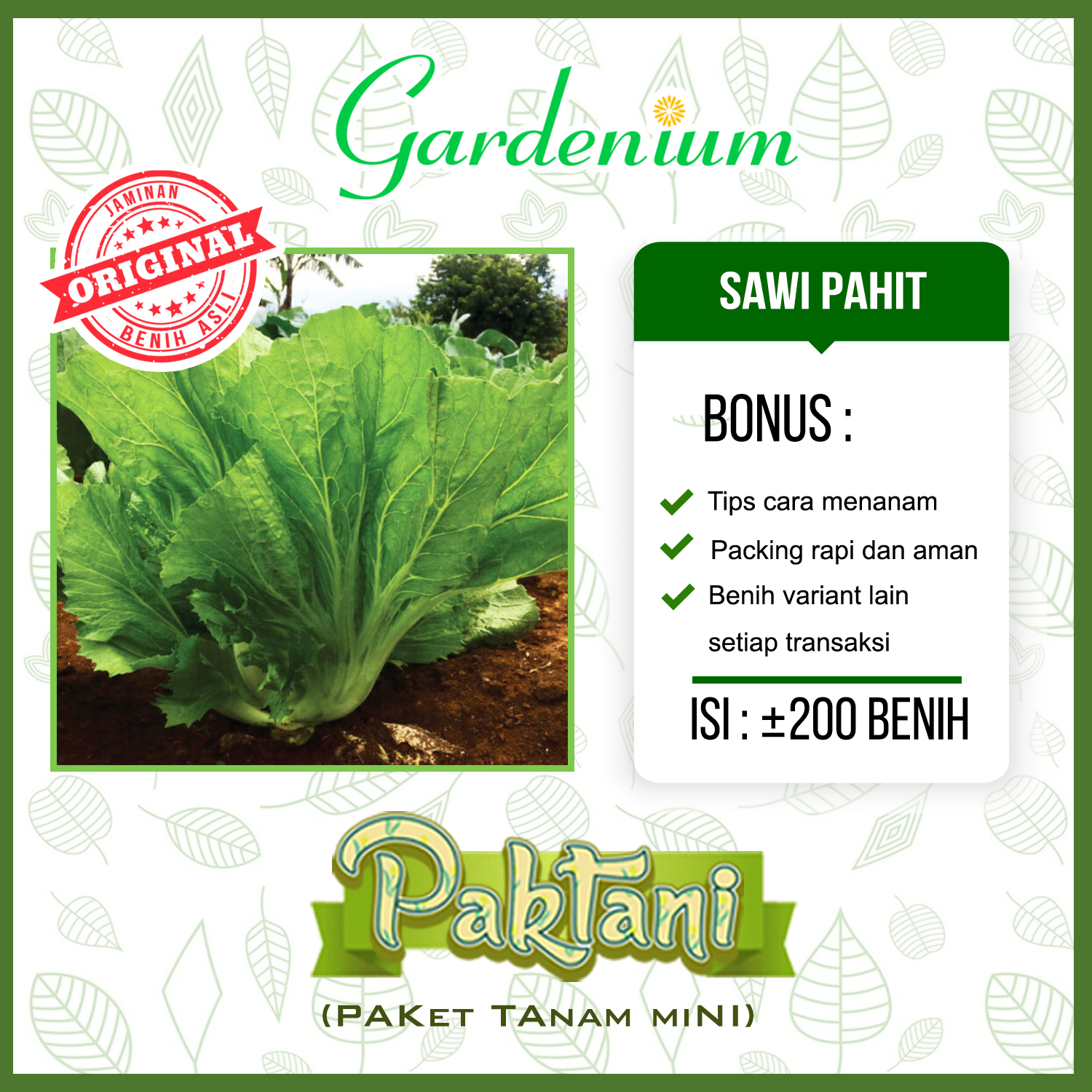 200 Benih Sawi Pahit Sayuran Unggul Paktani | Lazada Indonesia 200 Benih Sawi Pahit Sayuran Unggul Paktani | Lazada Indonesia
