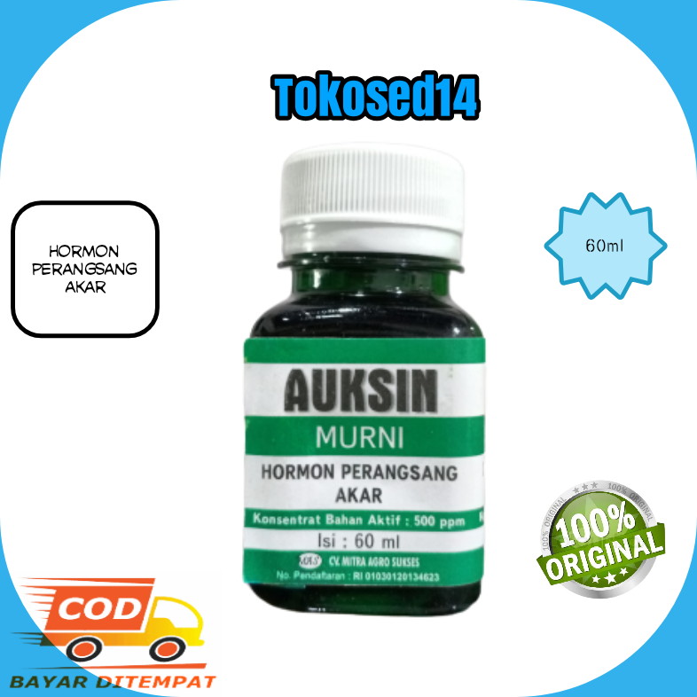 Auksin murni hormon perangsang akar tanaman auksin 60 ml auxin auksin ...
