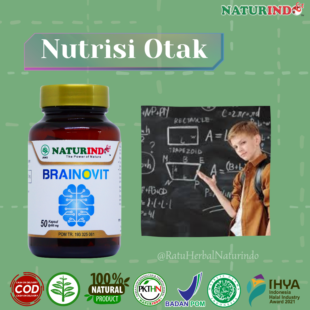 obat nutrisi otak dewasa tubuh otak anak menambah nutrisi penambah daya ...