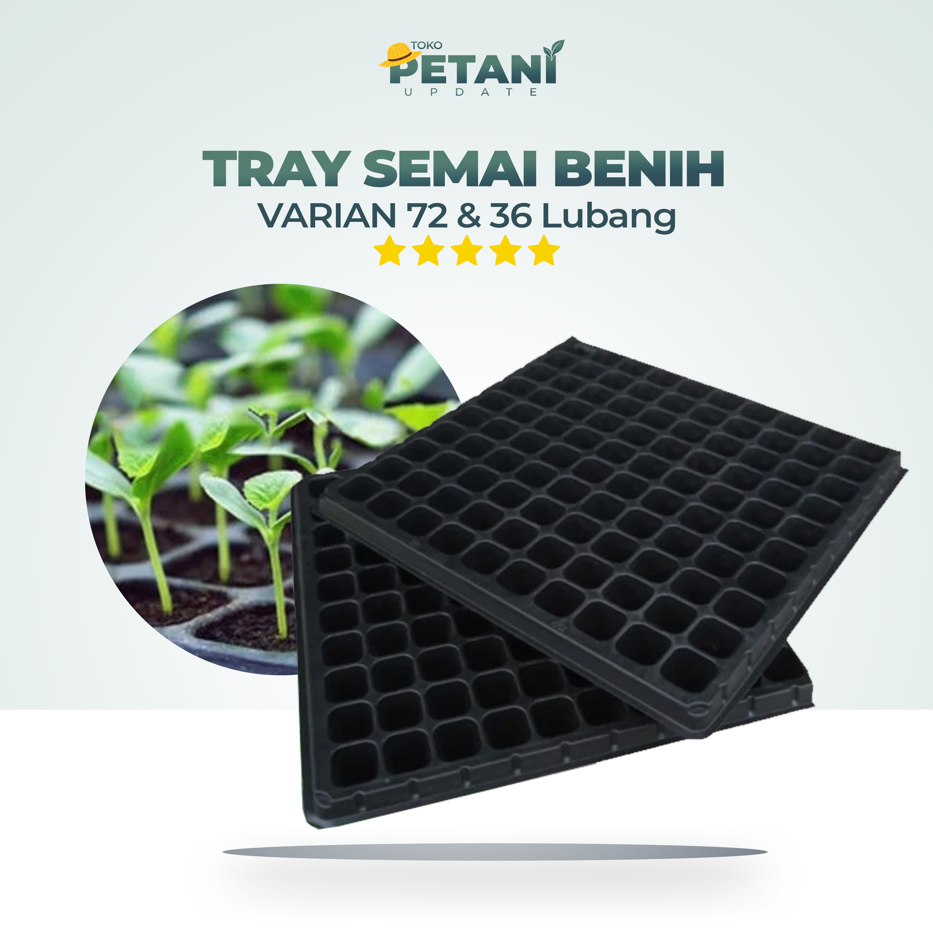 Tray Semai Pot Tray Penyemaian Bibit Tanaman 72 & 36 Lubang | Lazada ...
