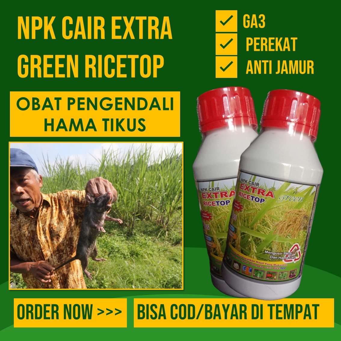 EXTRA RICETOP - Obat Hama Tikus Pada Tanaman Padi dan Jagung Mujarab ...