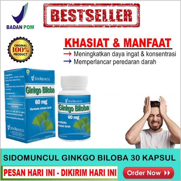 PROMO ginkgo biloba sidomuncul gingko obat pelancar sirkulasi darah vitamin otak dan daya ingat ...