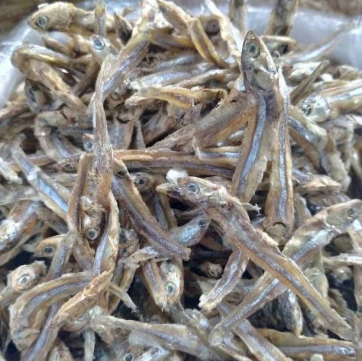 Ikan Teri Asin 100gr | Lazada Indonesia