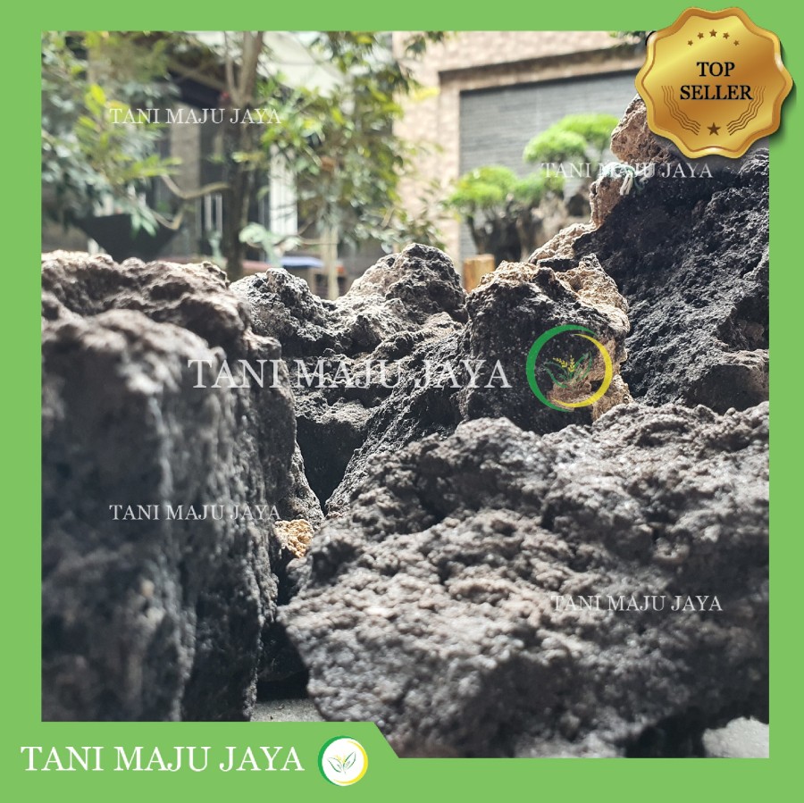 Batu Lava Rock Batu Hias Dekorasi Hardscape Aquascape Paludarium ...
