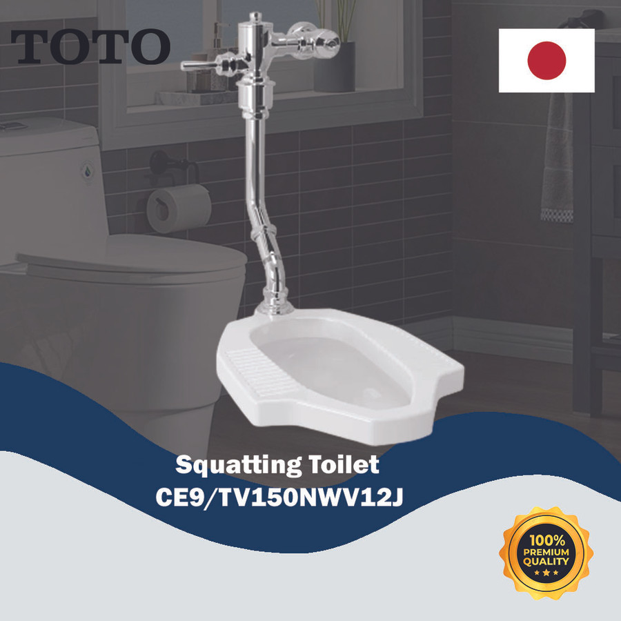 Closet Jongkok TOTO Tipe CE9 | Lazada Indonesia