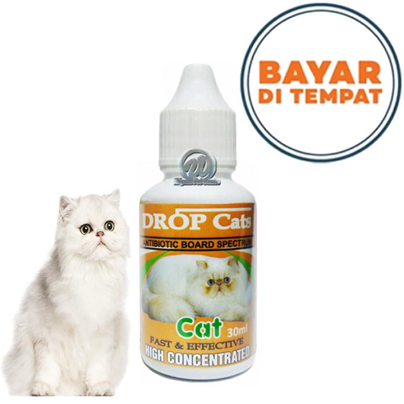 ANTIBIOTIK KUCING OBAT SAKIT DEMAM FLU DIARE DROP CAT | Lazada Indonesia