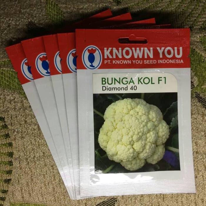 Benih Bibit Bunga Kembang Kol Dataran Rendah DIAMOND Wisata Agrotani ...