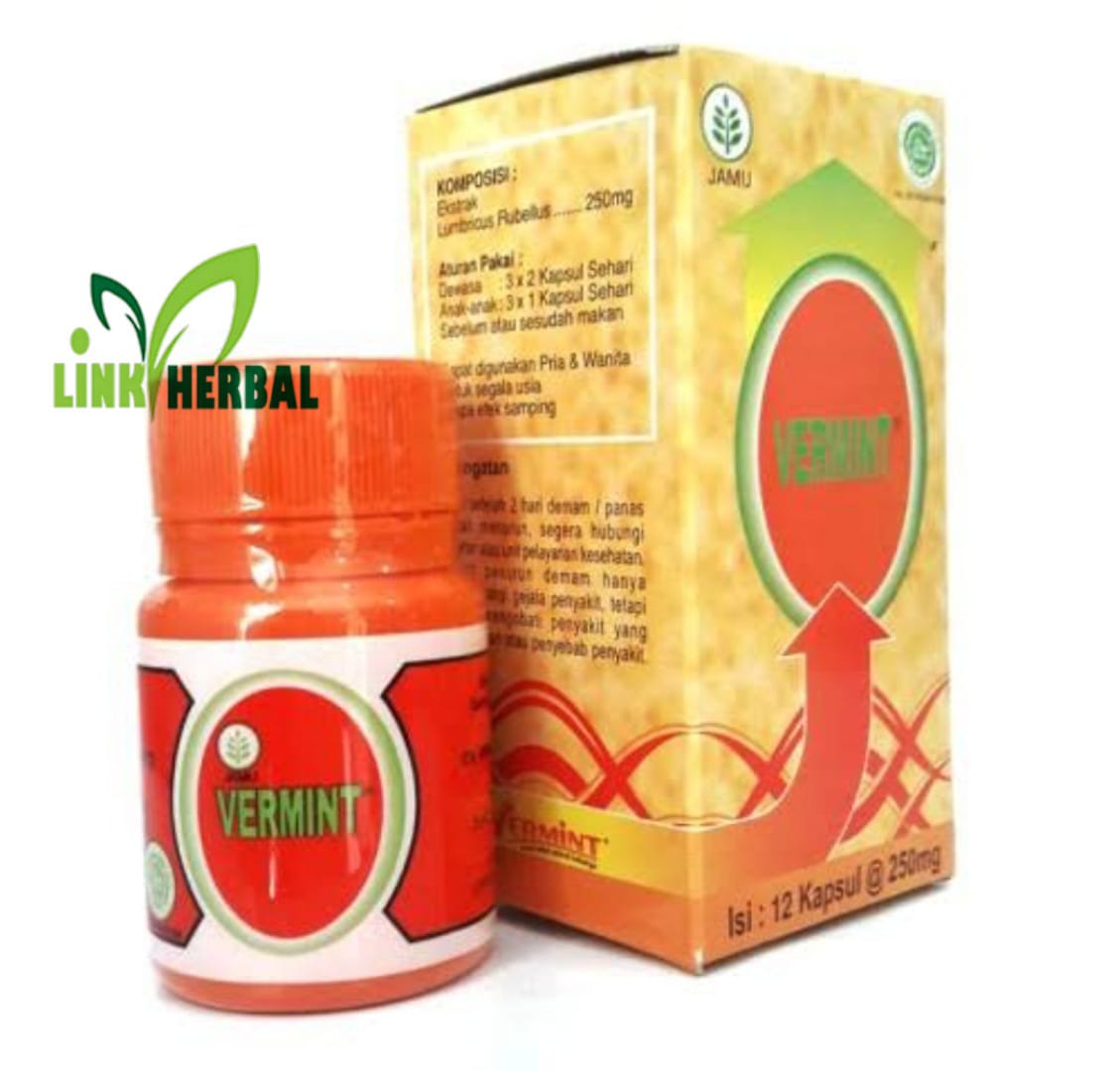 Vermint | Vermin | Obat Penyakit Tifus / Tipes / Typus 12 Kapsul ...
